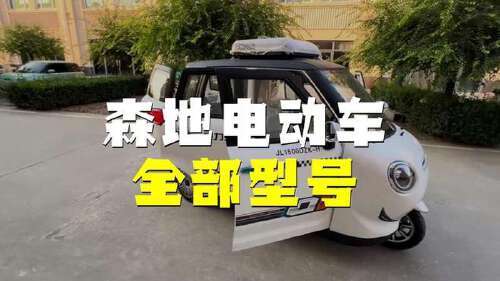 森地全系电动车揭秘:哪款才是性价比之王?