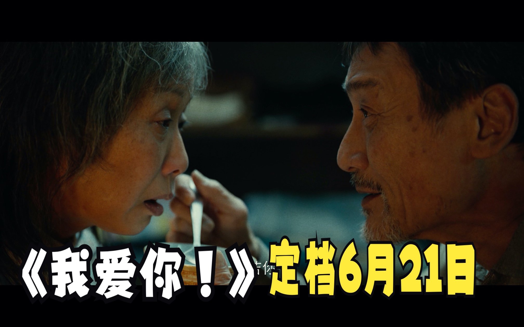 韩延新片《我爱你!》预告 倪大红 惠英红 梁家辉 叶童主演