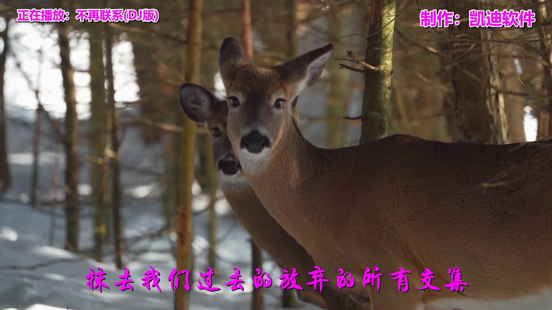 《不再联系(DJ版)》经典老歌,全民k歌mv视频制作软件