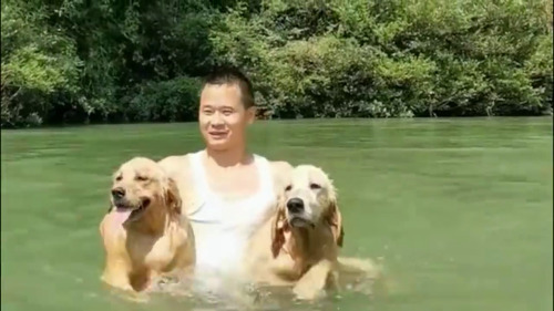 带狗子们出来游泳,这里山清水秀,玩得很开心!