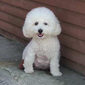 拥有八块腹肌的崽崽 