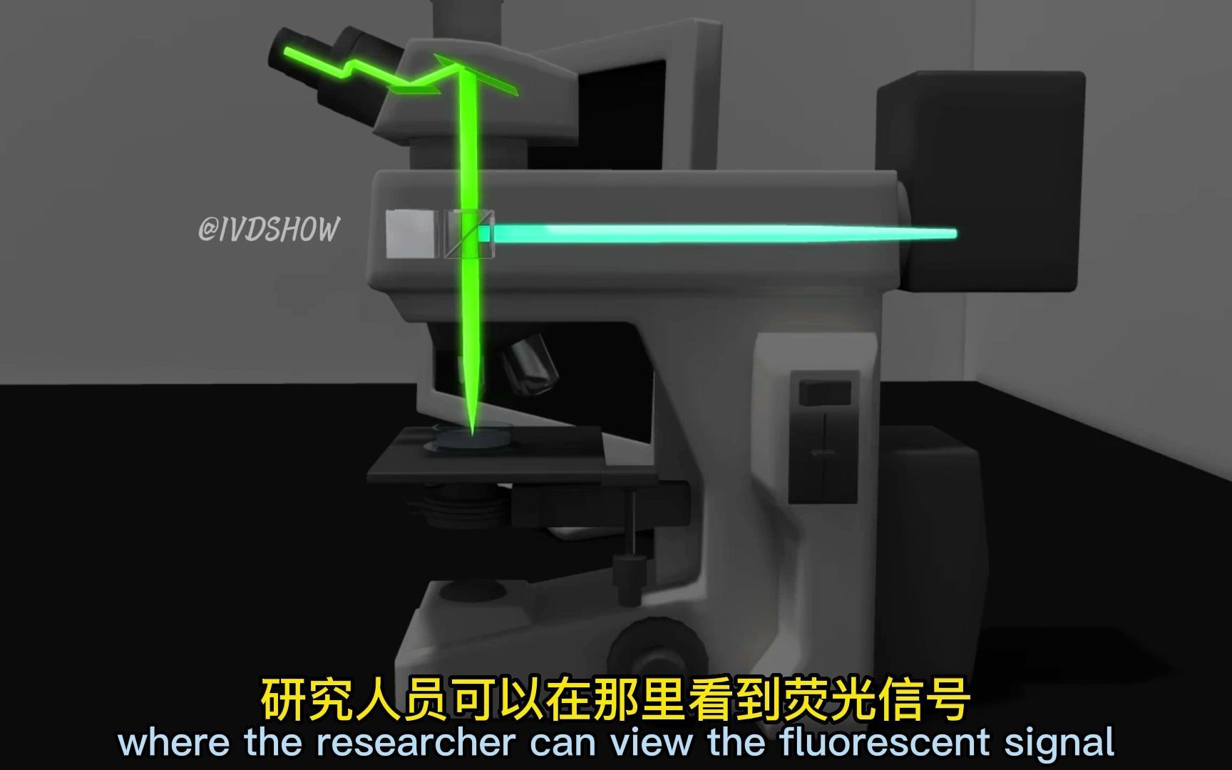 荧光显微镜是如何工作的?荧光显微镜与普通显微镜的区别有哪些?