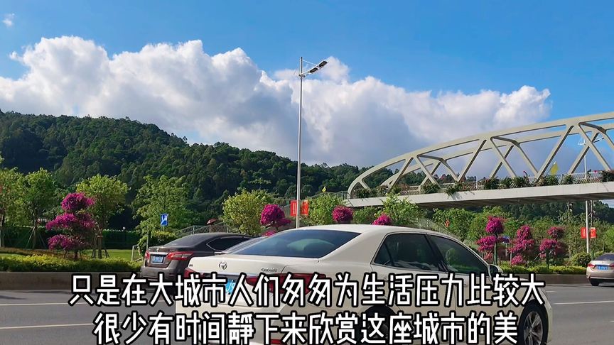 广州大城市配套设施全,新修的非机动车道安全又方便,风景美如画