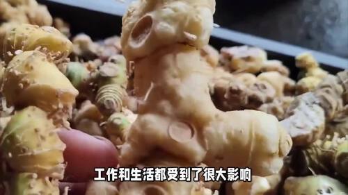 黄精隐藏惊人功效!每天用它泡水喝,轻松告别亚健康困扰