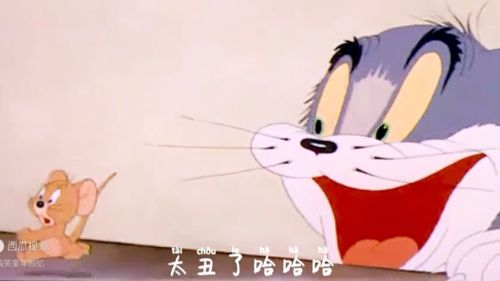 动画片:老鼠和猫