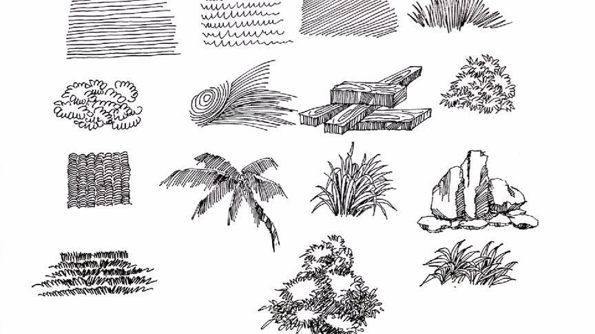 零基础钢笔画学习,小白也可以,从线条到植被练习!