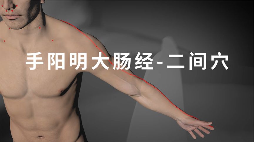398个穴位,你都知道吗?-手阳明大肠经-二间穴