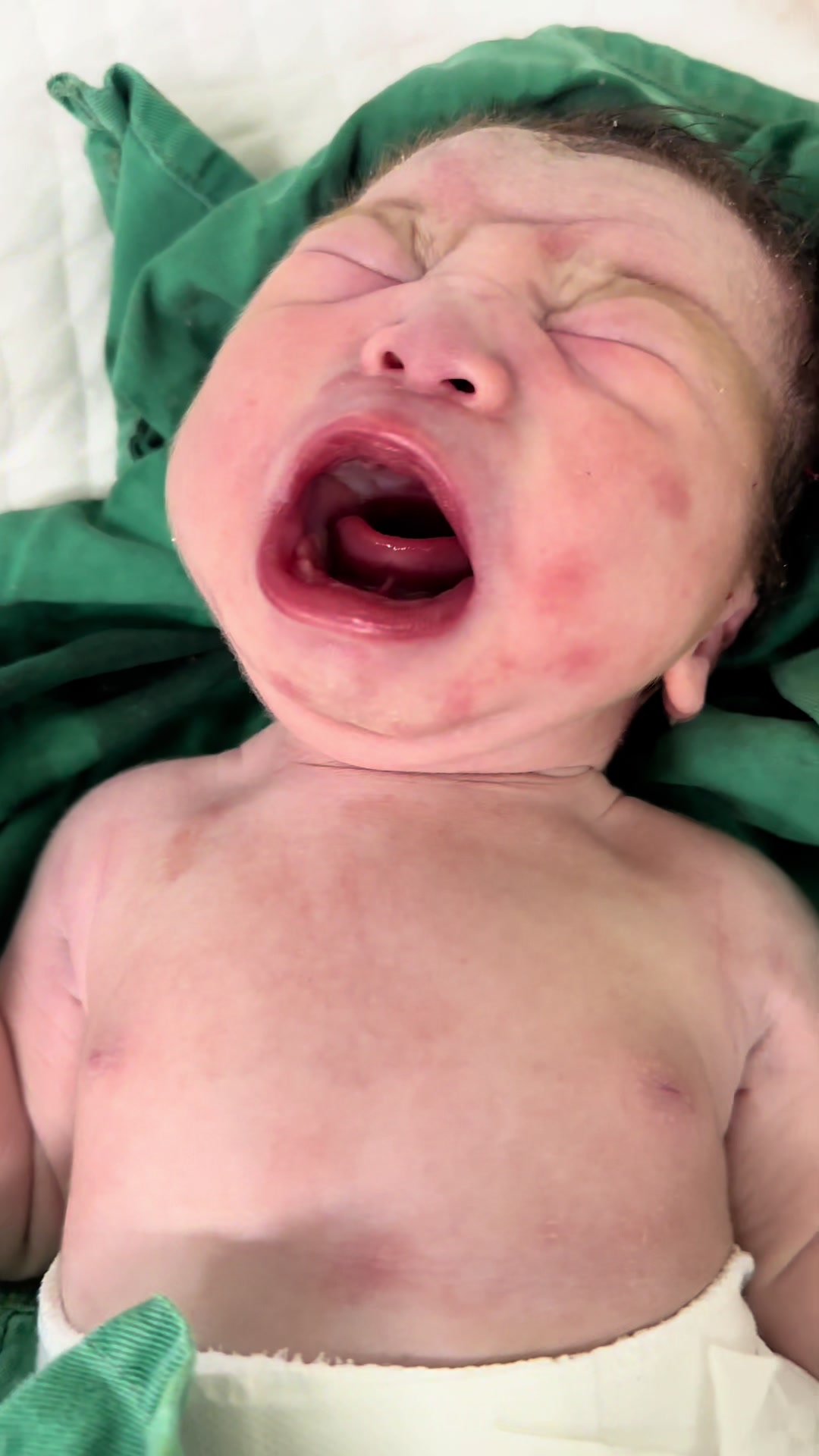 ߎ�龙年结束啦!刚刚出生的龙尾巴宝宝!一直坚守岗位,㊗️大家明年...