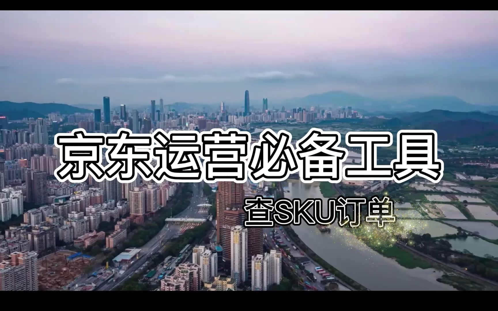 京东运营必备工具之查SKU售出订单