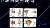 【微动画ppt】涨知识!人体解剖学运动系统骨与骨连接