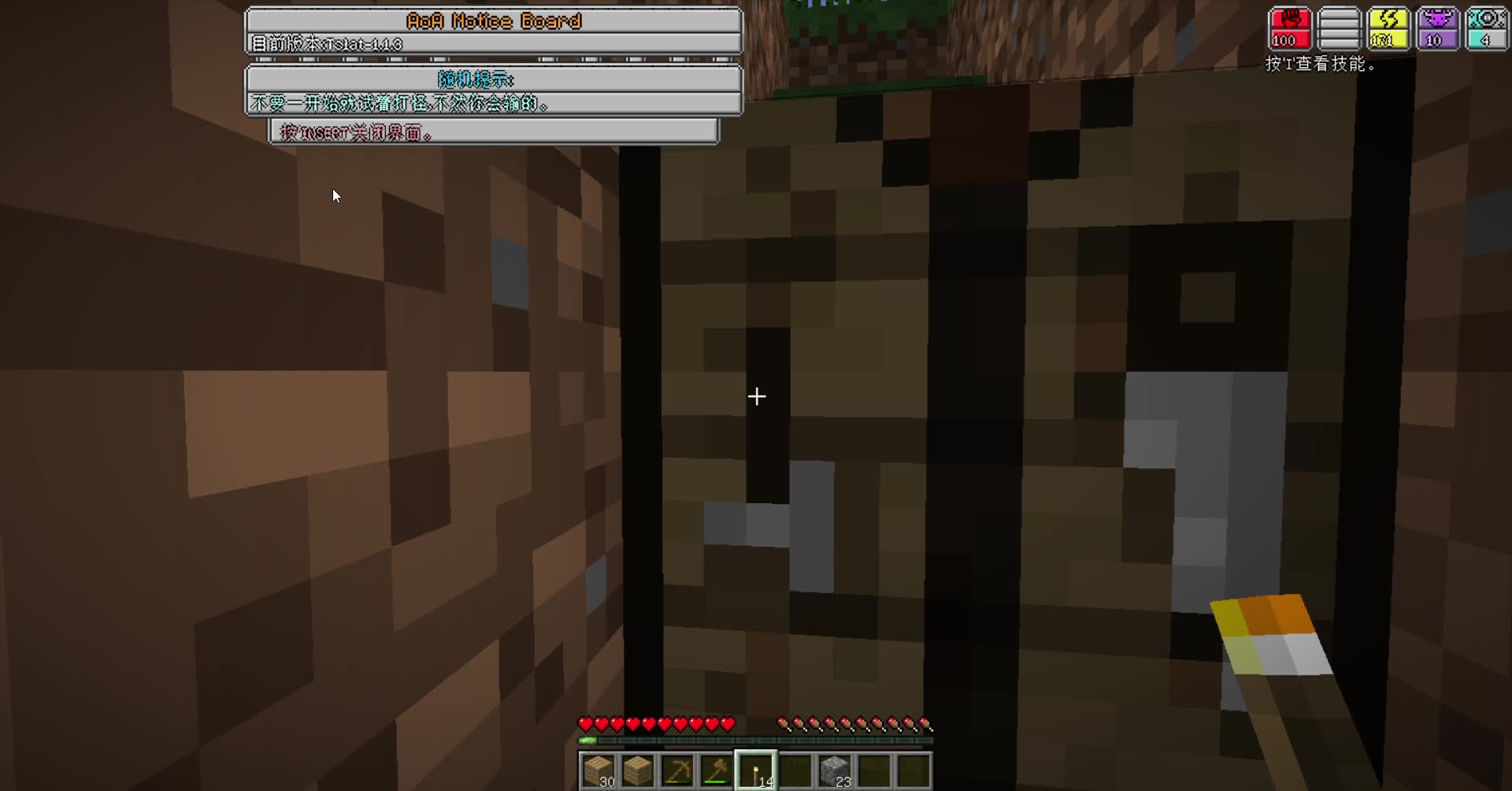 Minecraft虚无世界生存2