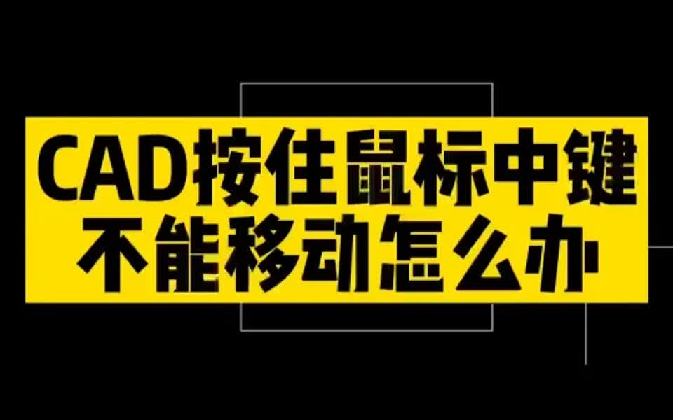 CAD按住鼠标滚轮中键不能平移
