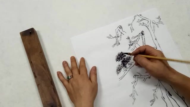 国画教程 松树的画法(1)