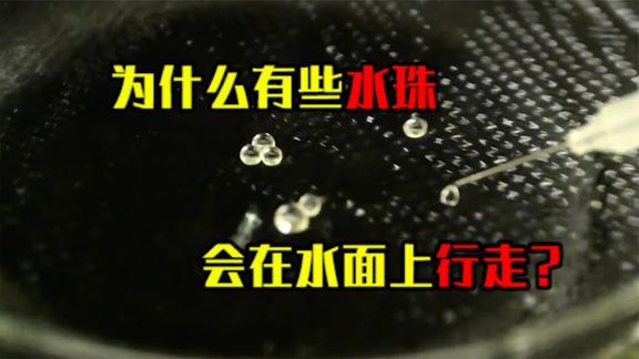 为什么水珠会在水面上滚动,小小的生活现象,科学家已探索上百年