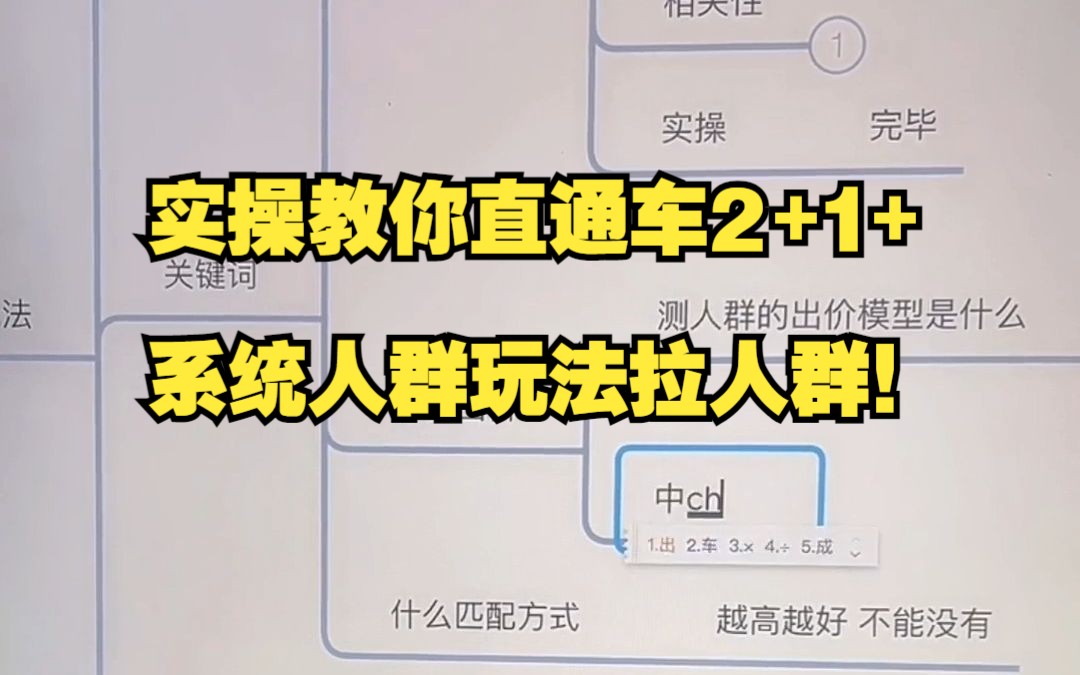 淘宝天猫运营干货-实操教你直通车2+1+系统人群玩法拉人群!