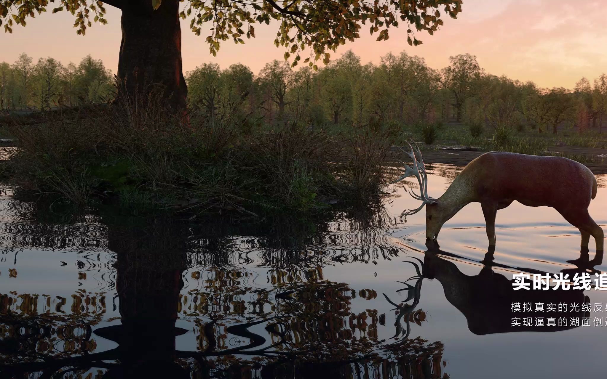 #HMS Core 6#在图形领域的创新能力开放,如3D建模服务、AR Engine...