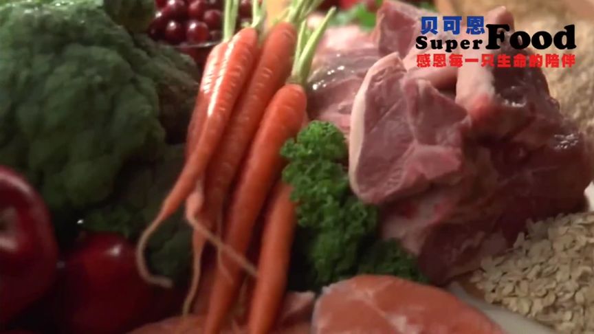 潍坊一禾宠物食品有限公司企业宣传片 贝可恩#狗粮#猫粮