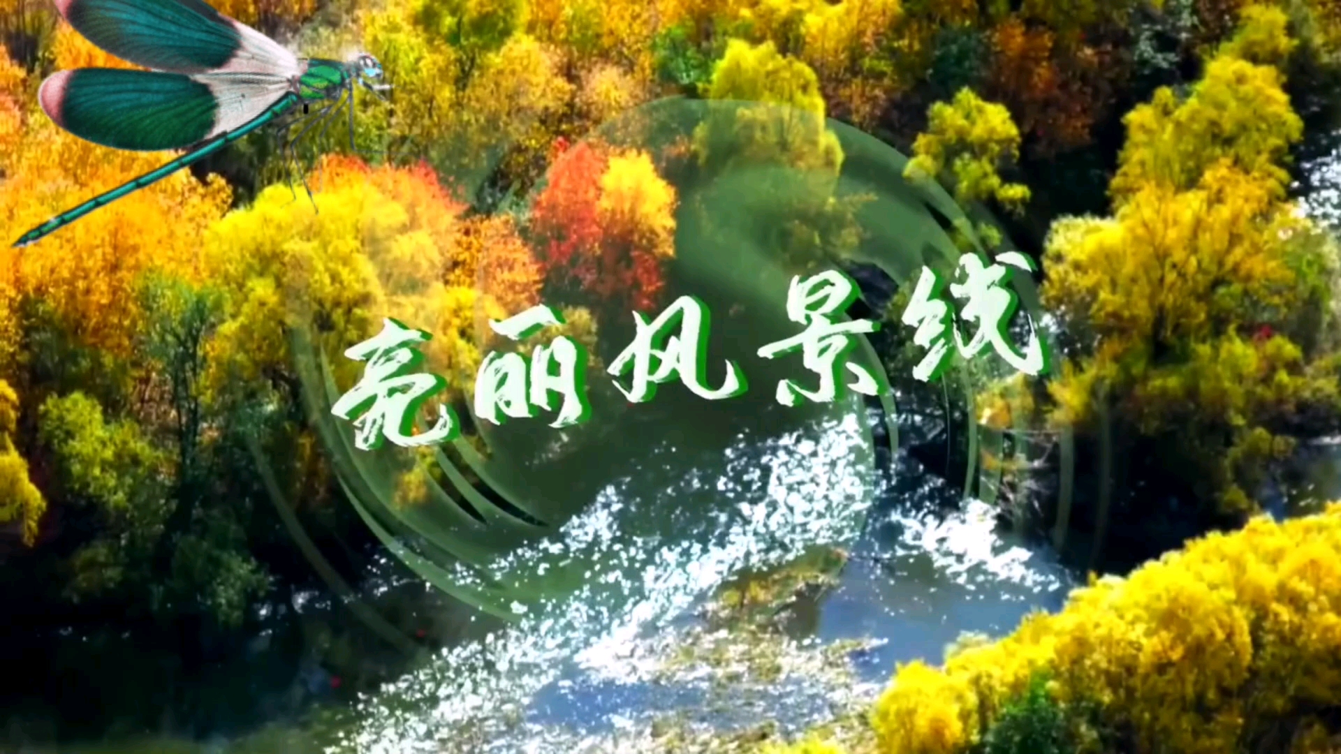 行走美丽中国 见证十年巨变 #财经# #经济# #金融# #旅游# #旅行# #...