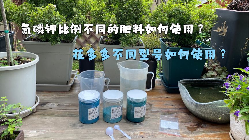 养花施肥,氮磷钾比例不同的肥料如何分阶段使用?