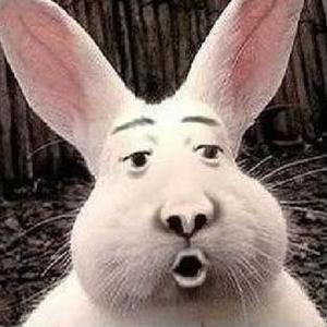 夜秋童解说 