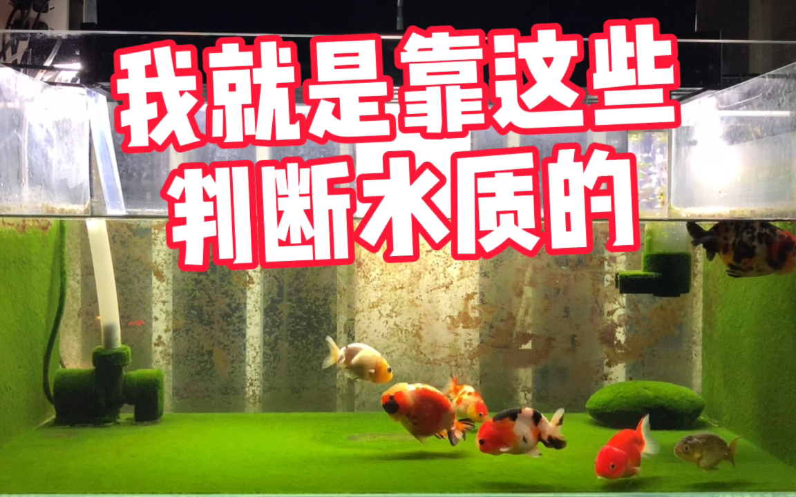 不用试纸测试,我是怎样判断水质好坏的,几个小点跟你分享