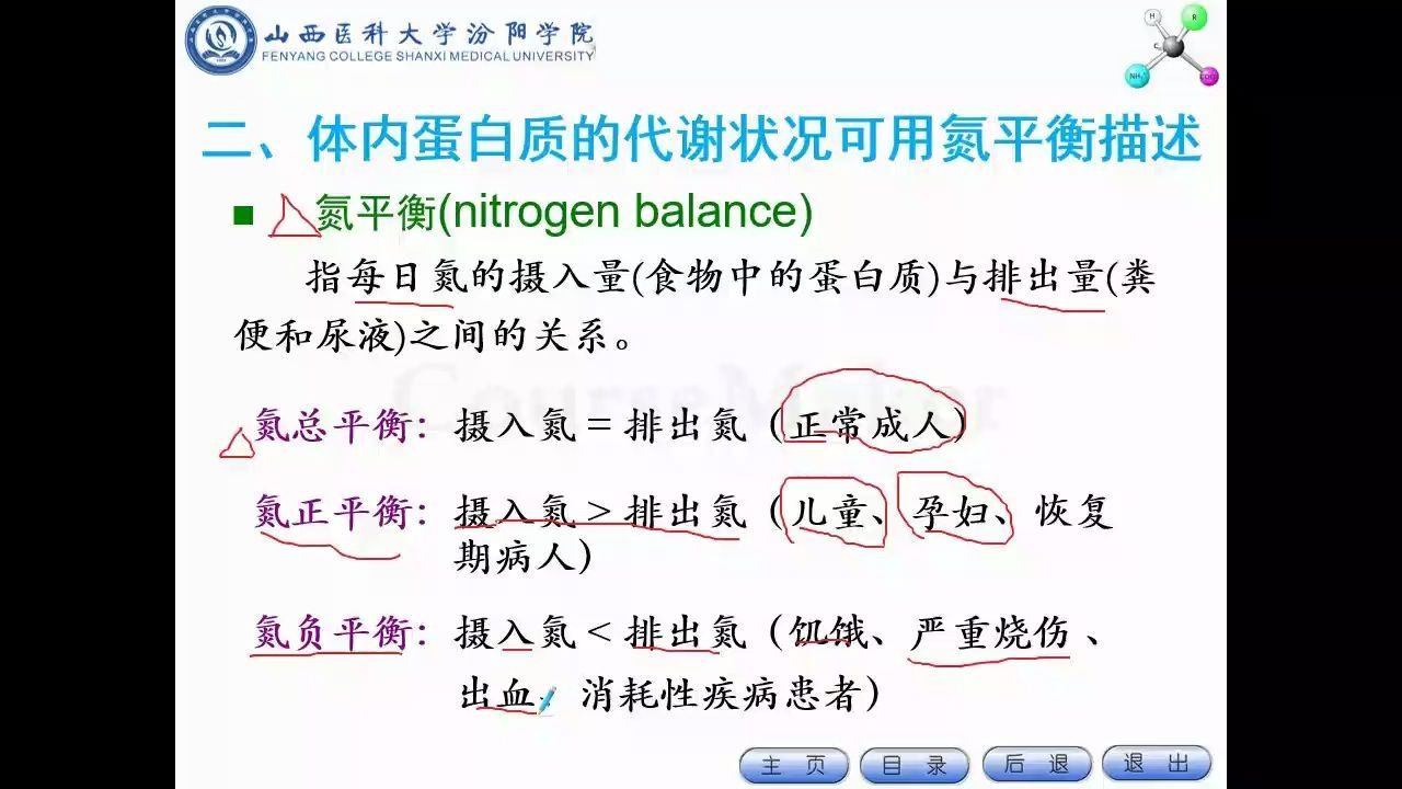 1.蛋白质的消化吸收和腐败作用