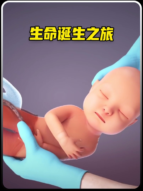 一次性看完生命诞生的全过程,生命这东西真的很神奇