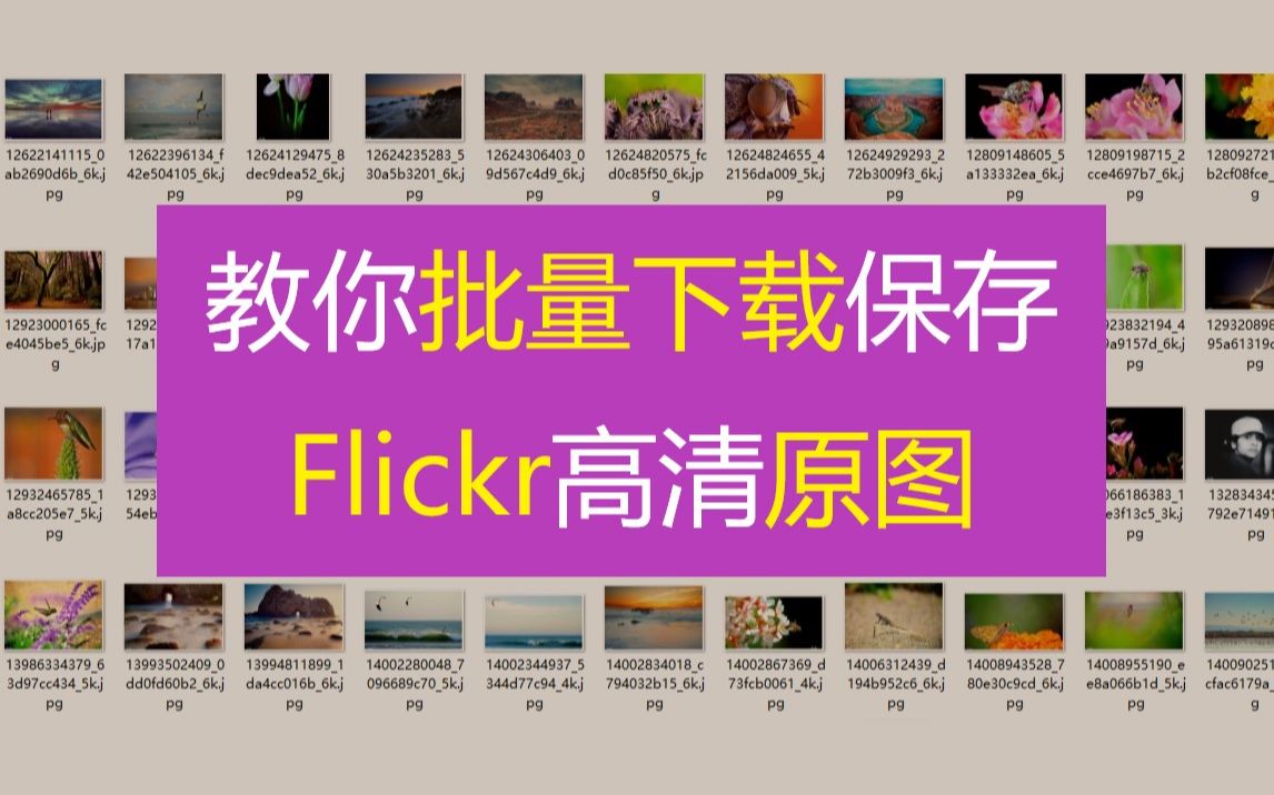 教你批量下载保存Flickr网站高清原图