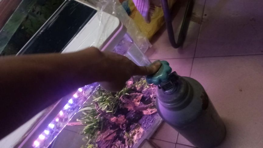 草缸Co2钢瓶的安全性,二氧化碳钢瓶注意事项