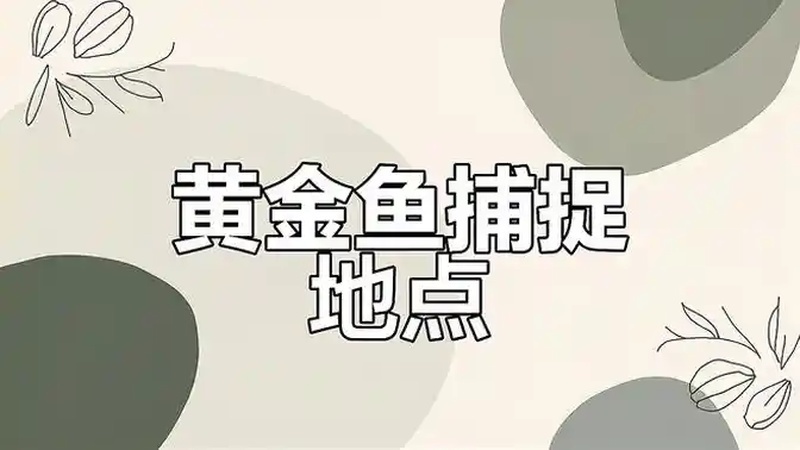 绯红森林八号宝藏洞窟全攻略:黄金鱼、白金鱼与龙雕币刷取技巧