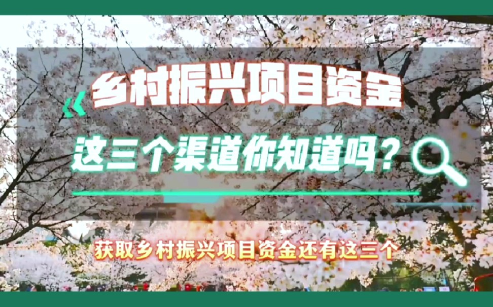 乡村振兴项目资金三个申报渠道来了#乡村振兴申报资金#乡村振兴规划...