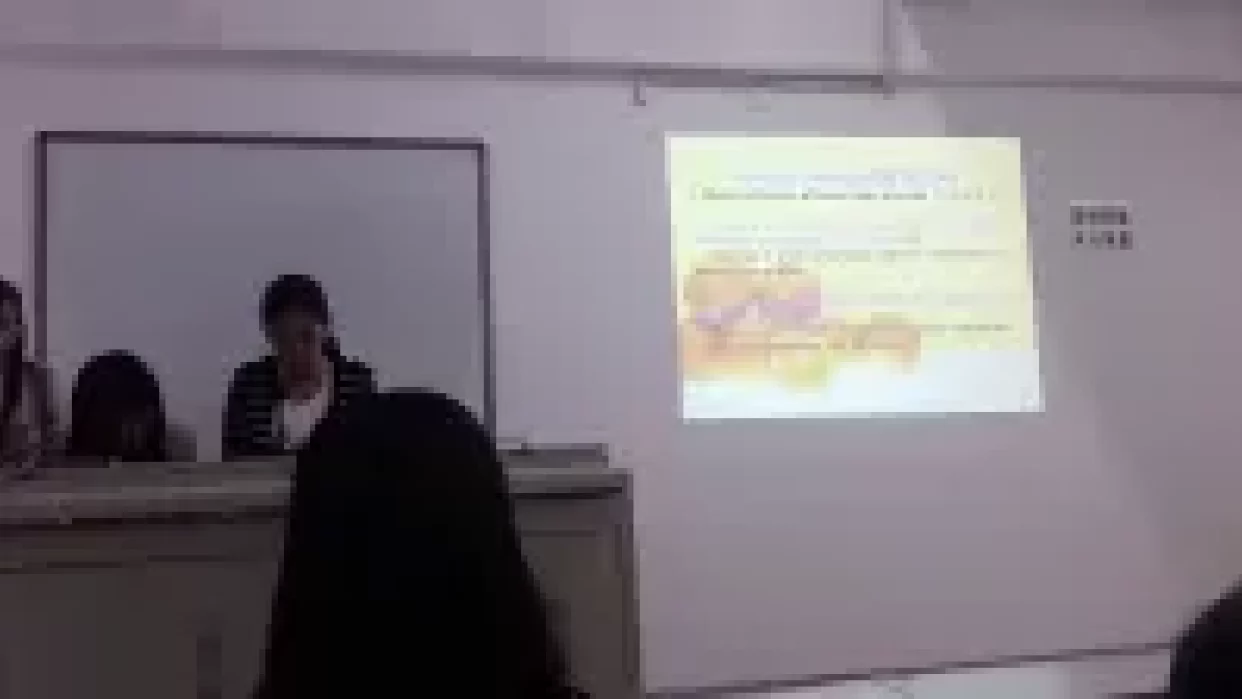 PPT演讲视频