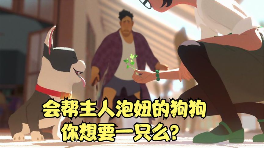 一个会帮主人泡妞的狗,宅男的拖单神狗,治愈系温情动画短片