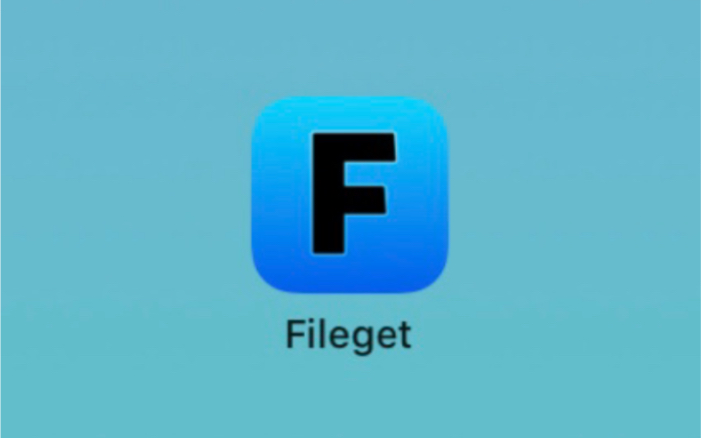 不会用ipad下载网上的视频?fileget教做人!