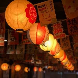 会飞的小木匠 