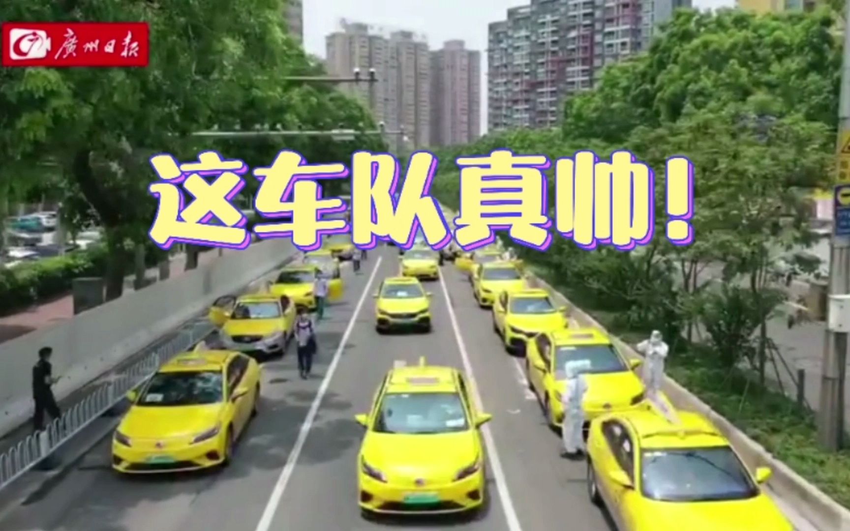 广州800多辆出租车举着“爱的号码牌”,一对一接送封闭区考生