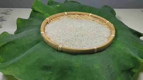 夏天的荷叶加大米作用真厉害,农村常见的养生吃法,省钱又实用