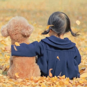 娟姐学习宝藏库 