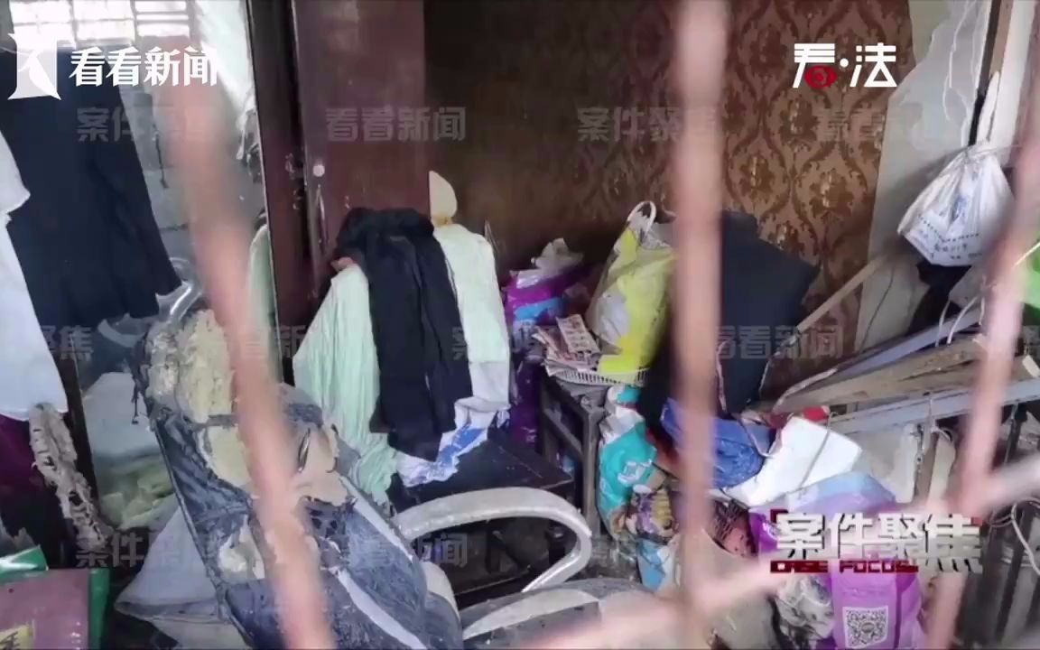 女子养百余只猫扰民拒不执行法院判决 被法官强行开锁拆违