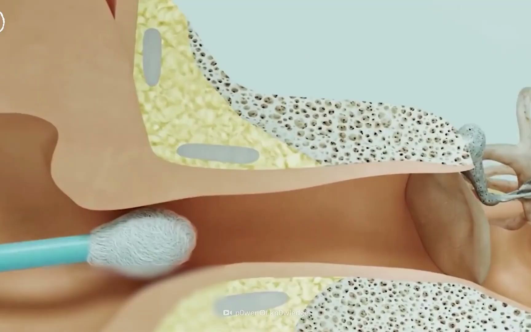 非常有意思的人体常识