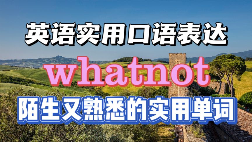 英语实用口语表达,whatnot,陌生又熟悉的实用单词