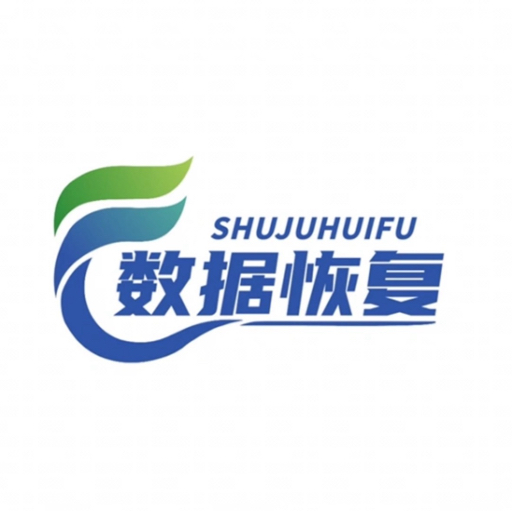 专业保资料数据救援 