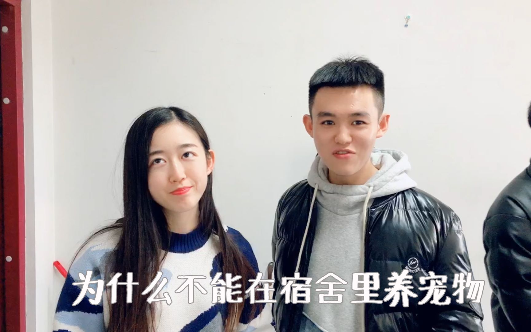 学生少女心泛滥,在宿舍养宠物,声称要当一个合格的铲屎官把宠物当亲...