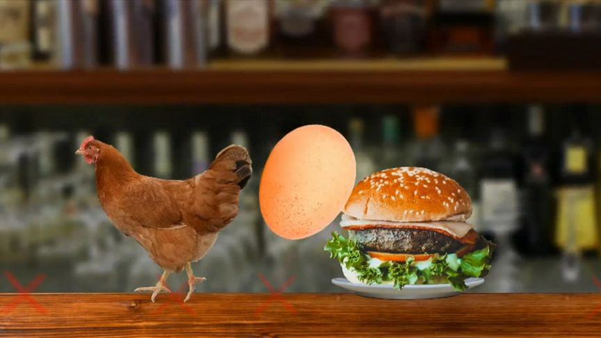 母鸡模拟器:下个鸡蛋玩半天 鸡的职业多清闲