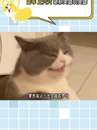 SU7 Ultra能不能也让我体验一下!#宇树科技机器人侧空翻