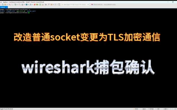 普通socket通信变更为TLS通信