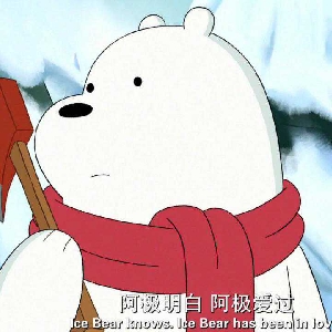 不吃藕的鱼 