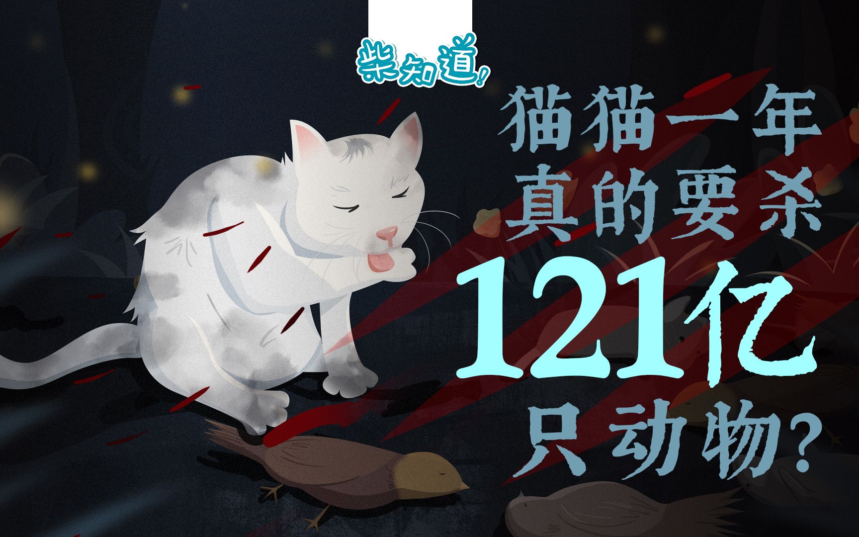 【柴知道】流浪猫真的是“百亿杀手”吗?这种天文数字是怎么算出来...