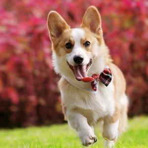 钱多多听歌