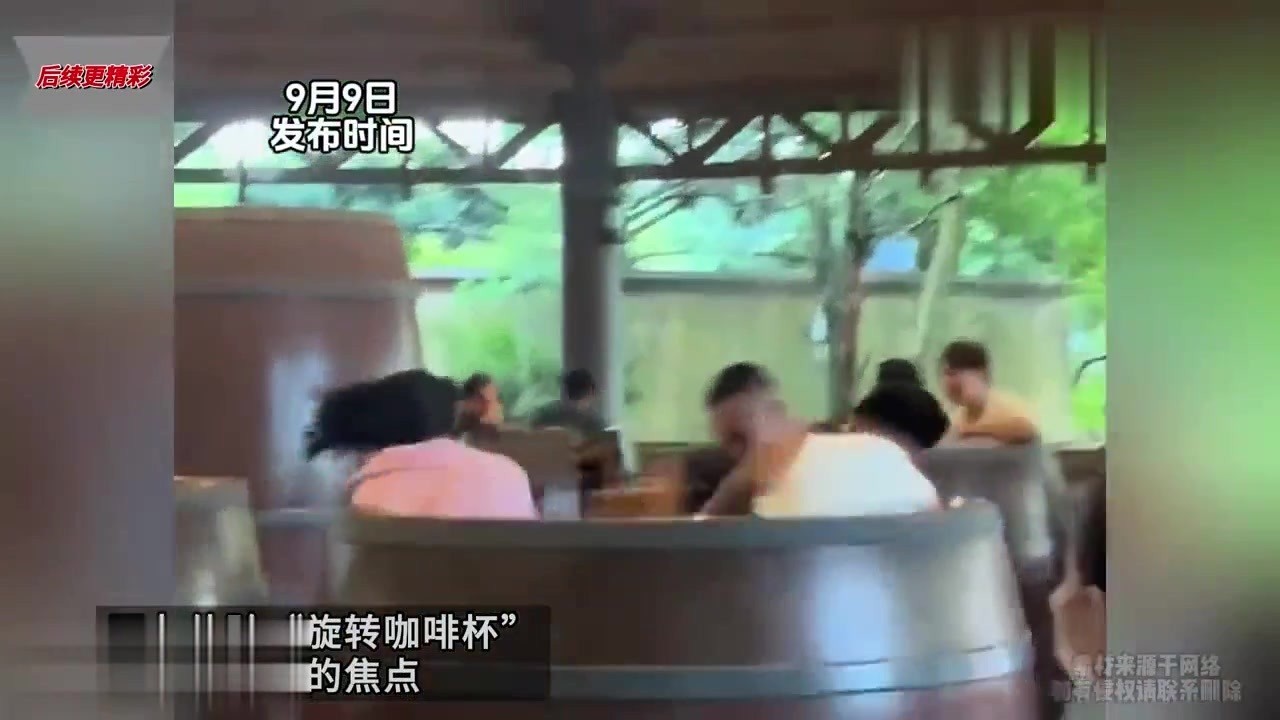 网友体验"旋转咖啡杯",竟成为众人的焦点